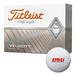 DSG Brand Store - Welcome